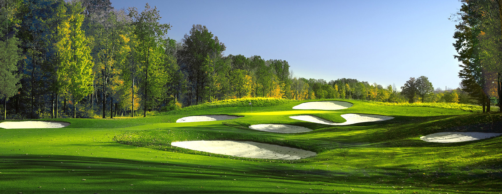 Golfing Fore Good- LKLD